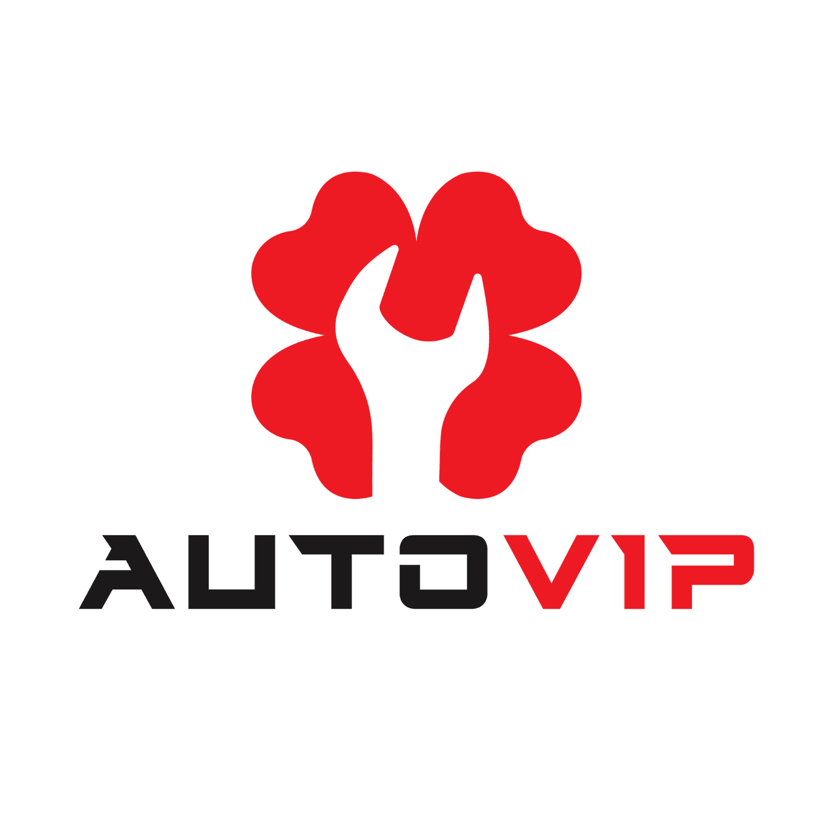 Auto VIP